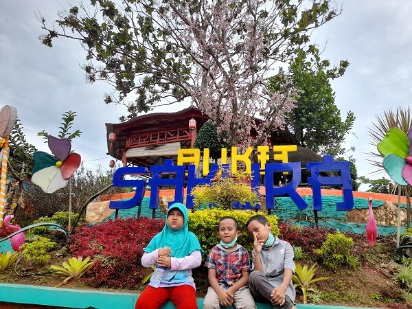 Bukit Sakura Kemiling Bandar Lampung Tiket Masuk, Lokasi, Foto