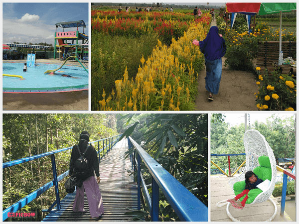 13 Tempat Wisata Di Pringsewu Terbaru Yang Wajib Dituju